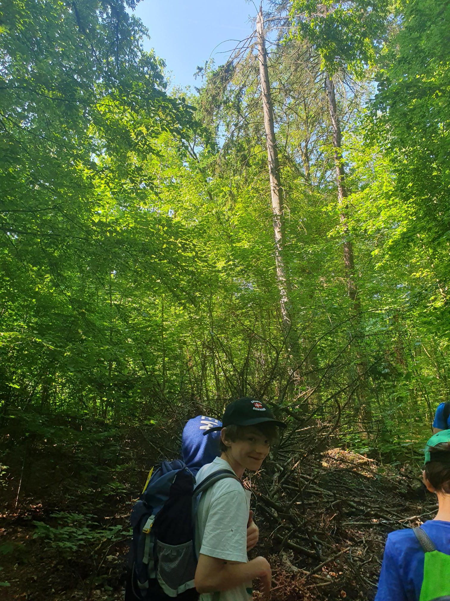 Ein Besuch im Wald – Gymnasium Goetheschule Hannover